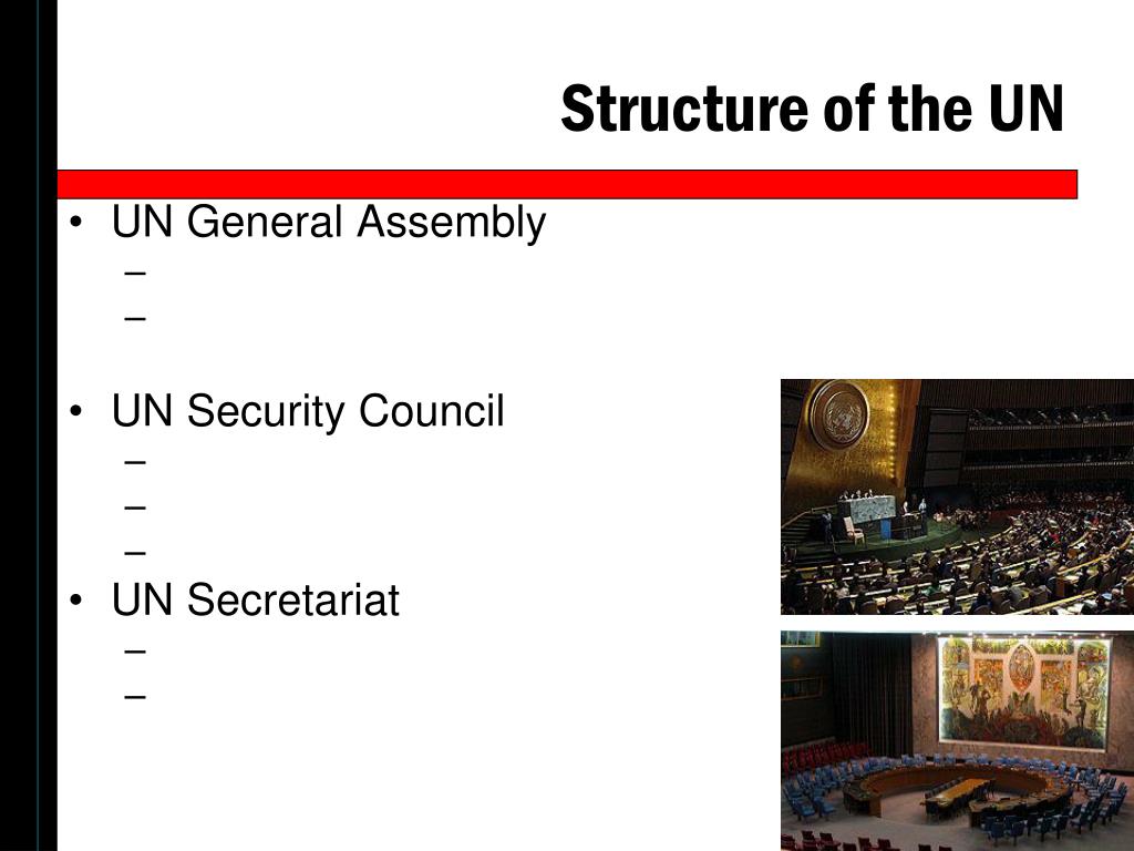 PPT - International Organization, Law, and Human Rights PowerPoint ...