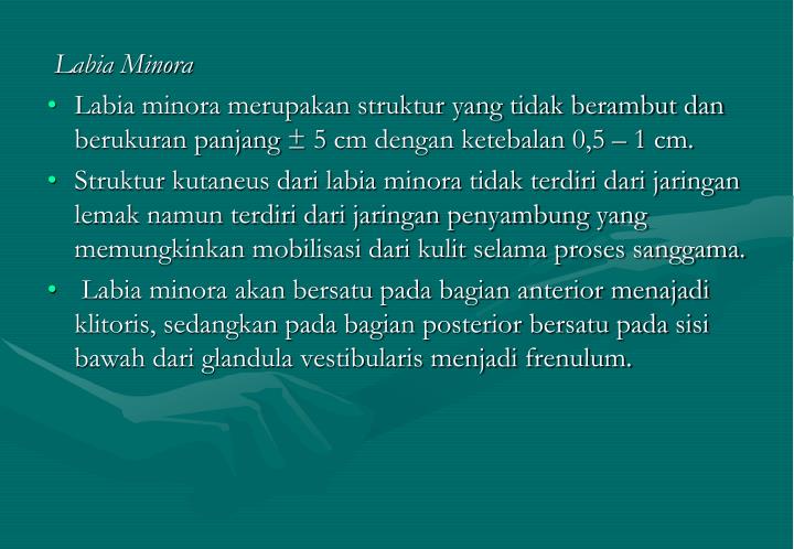 PPT - ANATOMI FISIOLOGI ORGAN REPRODUKSI WANITA PowerPoint Presentation ...