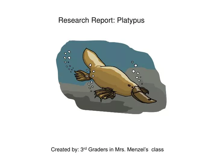 PPT - Research Report: Platypus PowerPoint Presentation, free download ...