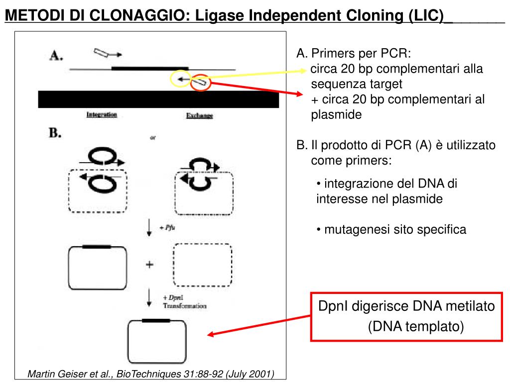 PPT - Traditional Cloning PowerPoint Presentation, free download - ID ...