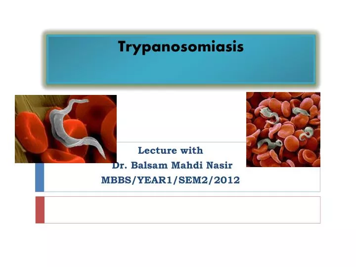 PPT - Trypanosomiasis PowerPoint Presentation, free download - ID:4042473
