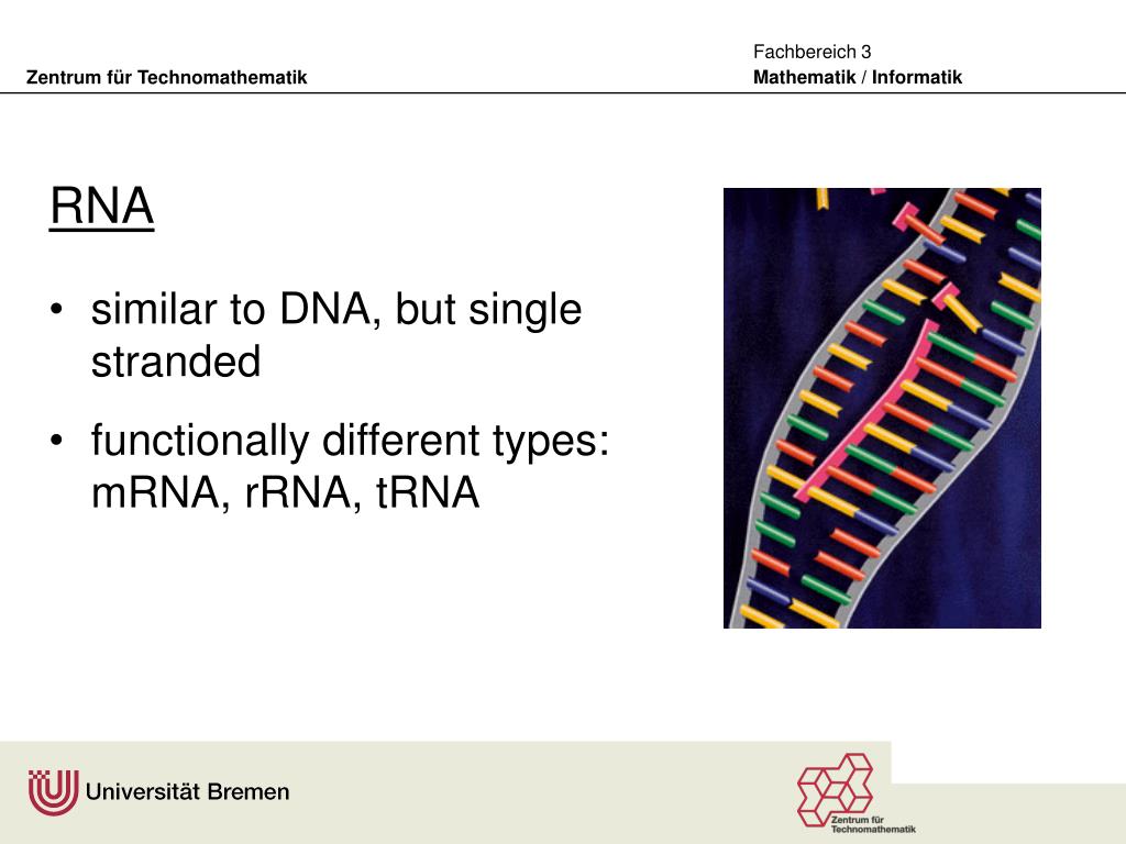 PPT - Genomics, Genetics, Genome, Gene, Proteins, Proteome, Proteine ...