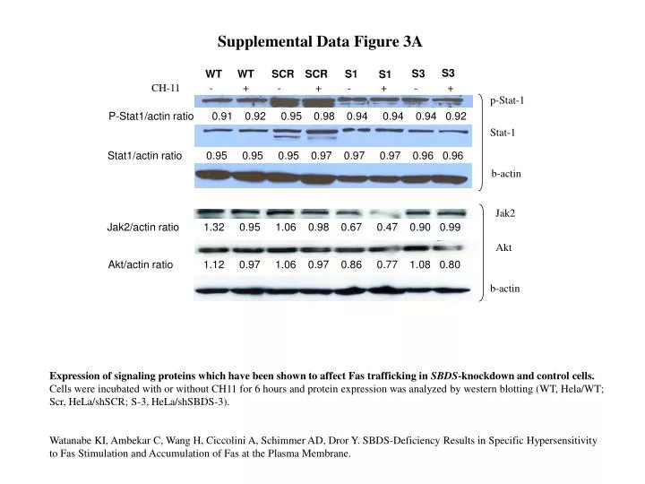 PPT - SCR PowerPoint Presentation, free download - ID:4047273