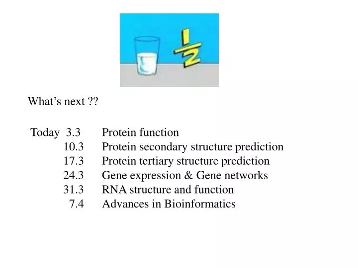 PPT - What’s next ?? PowerPoint Presentation, free download - ID:4047384