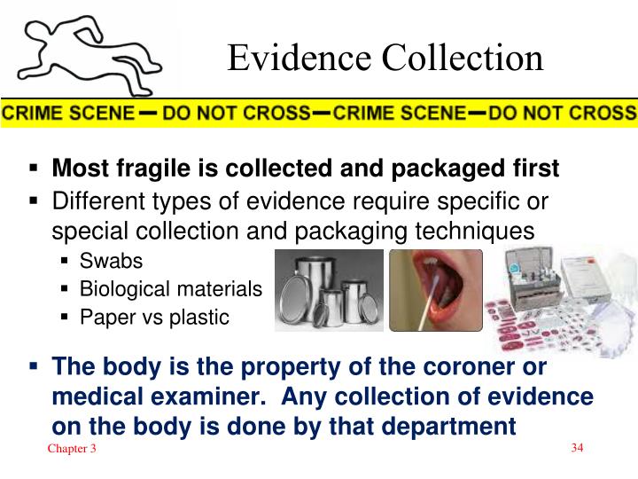 PPT - THE CRIME SCENE PowerPoint Presentation - ID:4047902