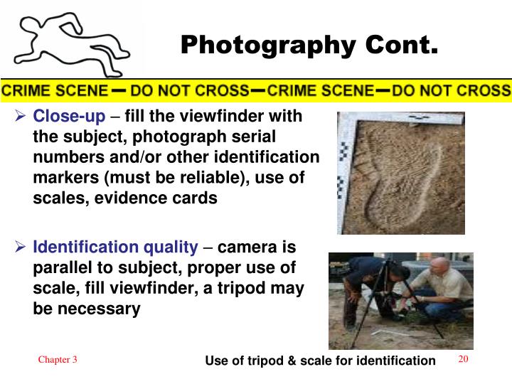 PPT - THE CRIME SCENE PowerPoint Presentation - ID:4047902