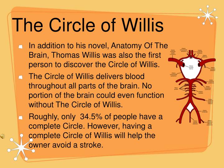 PPT - 8th Grade, 2009 PowerPoint Presentation - ID:4047997