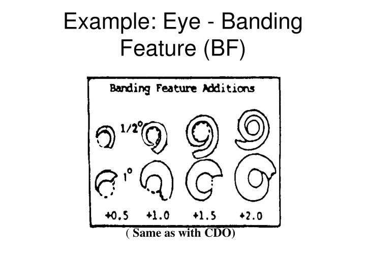 PPT - Overview of the Dvorak Technique PowerPoint Presentation - ID:4049421