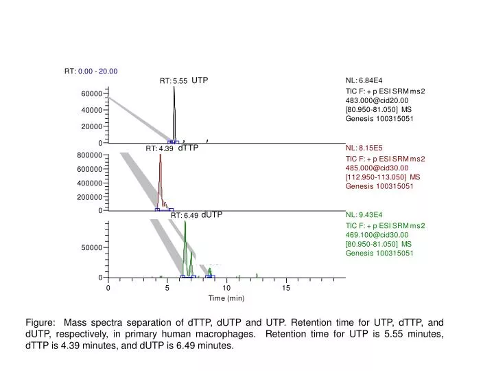PPT - UTP PowerPoint Presentation, free download - ID:4053211