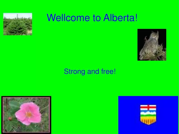 PPT - Wellcome to Alberta! PowerPoint Presentation, free download - ID ...