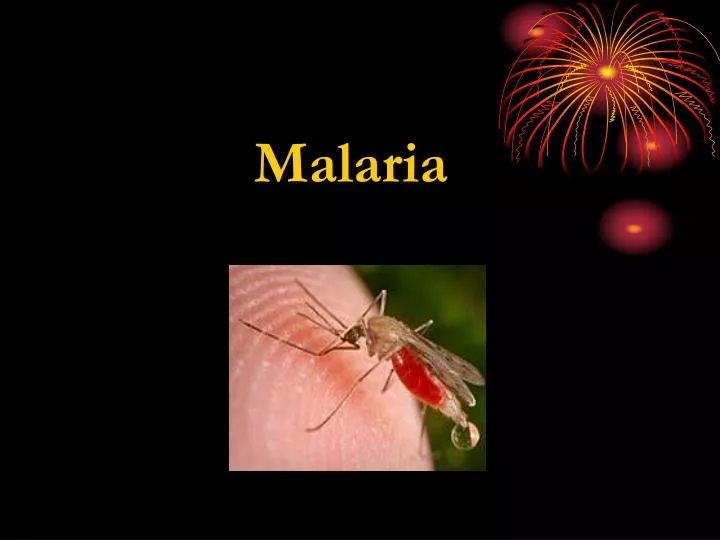 PPT - Malaria PowerPoint Presentation, free download - ID:4053560