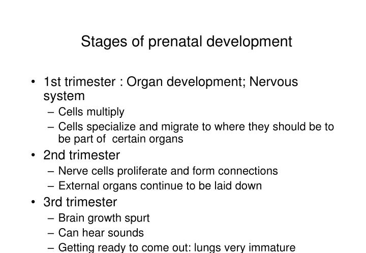 PPT - Fostering Healthy Prenatal Development PowerPoint Presentation ...