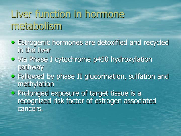 PPT - Hormones PowerPoint Presentation - ID:4055658