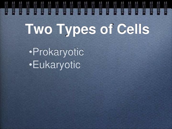 PPT - Cell Structure & Function PowerPoint Presentation - ID:4057297