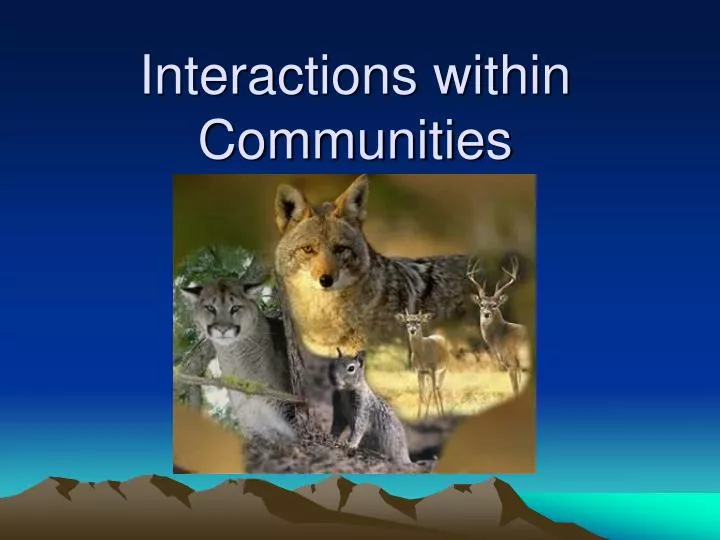 PPT - Interactions within Communities PowerPoint Presentation, free ...