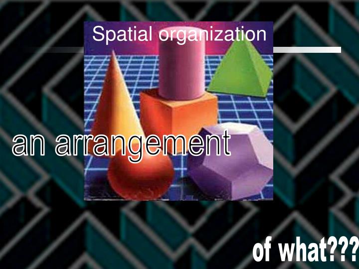 PPT - Spatial organization PowerPoint Presentation - ID:4058796