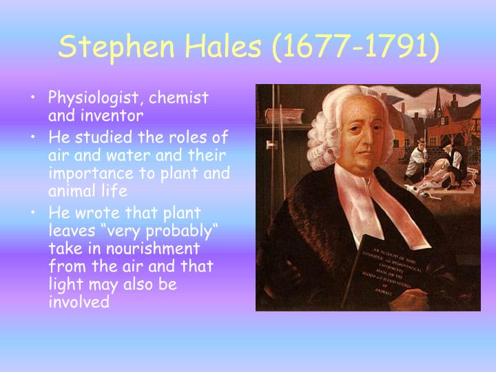 PPT - “Life is bottled sunshine” PowerPoint Presentation - ID:4059132