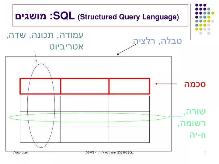 PPT - SQL (Structured Query Language) : מושגים PowerPoint Presentation ...