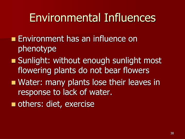 PPT - Chapter 11 Complex Inheritance and Human Heredity PowerPoint ...