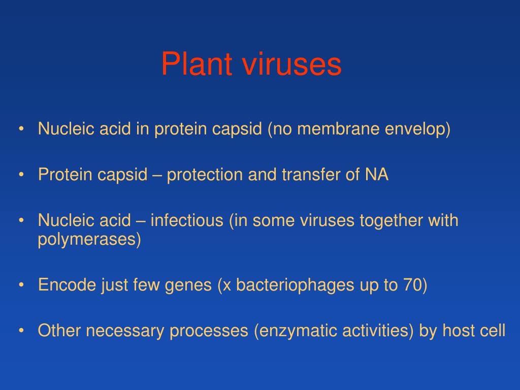 PPT - Plant viruses PowerPoint Presentation, free download - ID:4063972 PPT - Plant viruses PowerPoint Presentation, free download - ID:4063972