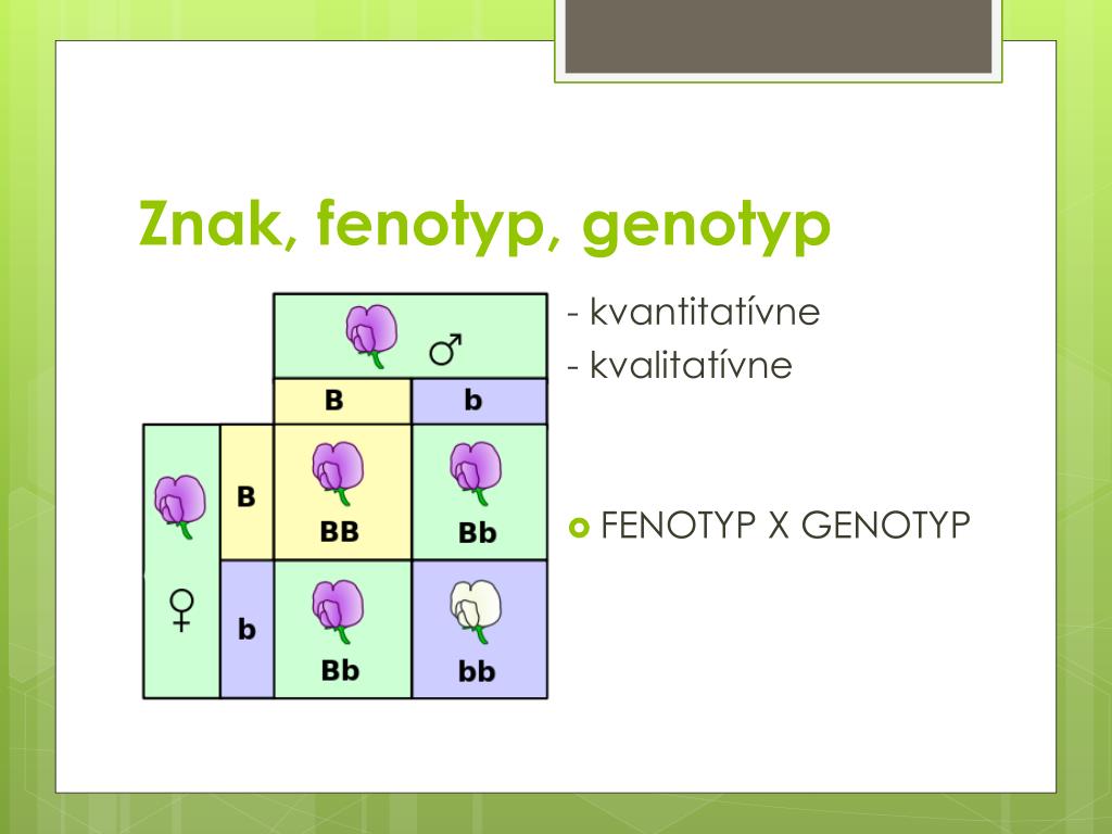 PPT - MENDELOVE ZÁKONY PowerPoint Presentation, free download - ID:4065519