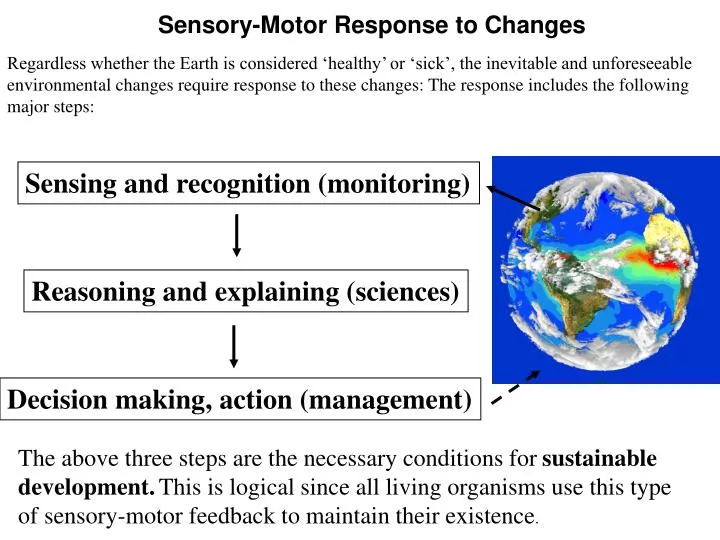 PPT - Sensory-Motor Response to Changes PowerPoint Presentation, free ...