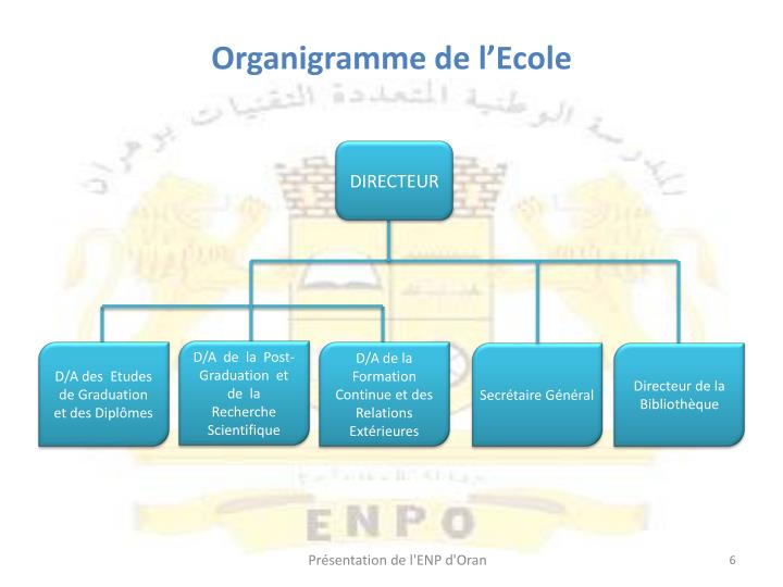 PPT - Présentation de l’ENP d’Oran « Ecole Nationale Polytechnique d ...