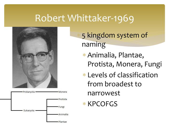 PPT - Classification of Living Things PowerPoint Presentation - ID:4068372