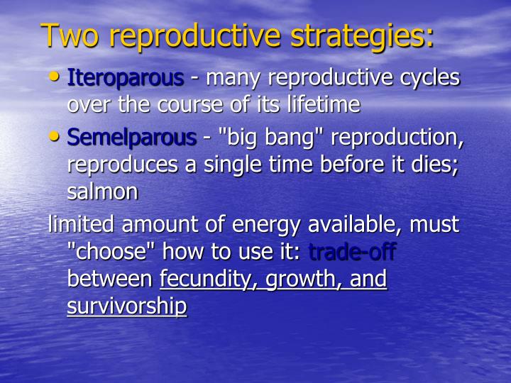 PPT - Reproductive Strategies and Larval Ecology PowerPoint ...