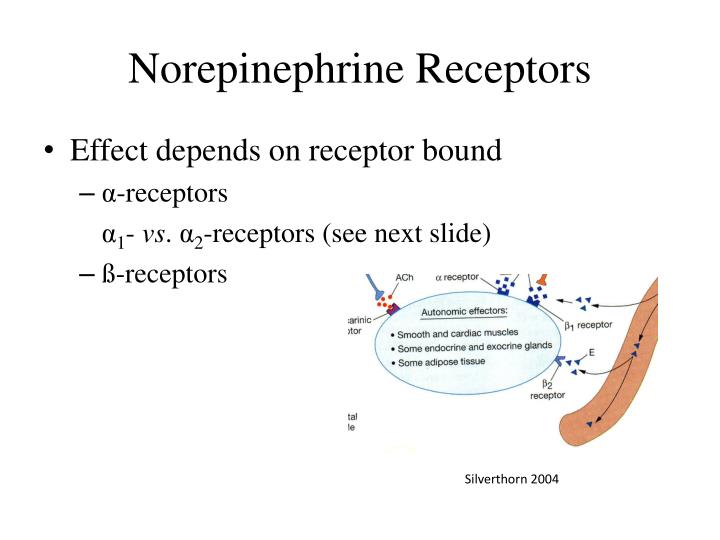 PPT - Ionotropic and Metabotropic Receptors PowerPoint Presentation ...