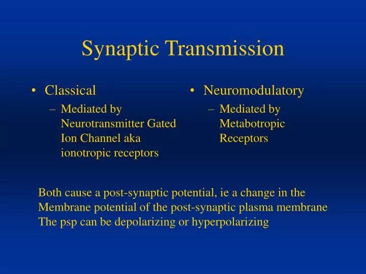PPT - Synaptic Transmission PowerPoint Presentation, free download - ID ...