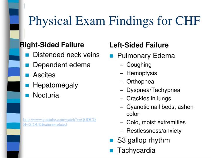 PPT - Heart/Neck Vessels & Peripheral Vascular/Lymphatics PowerPoint ...
