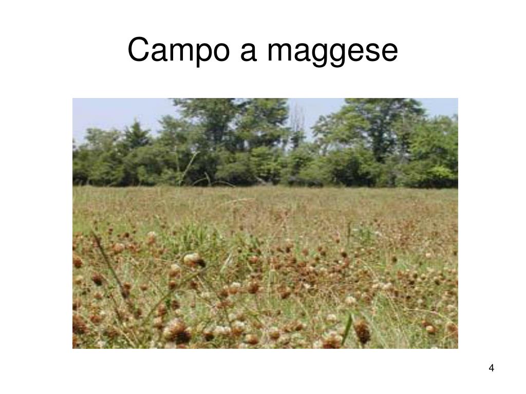 PPT - Rivoluzione agronomica PowerPoint Presentation, free download ...