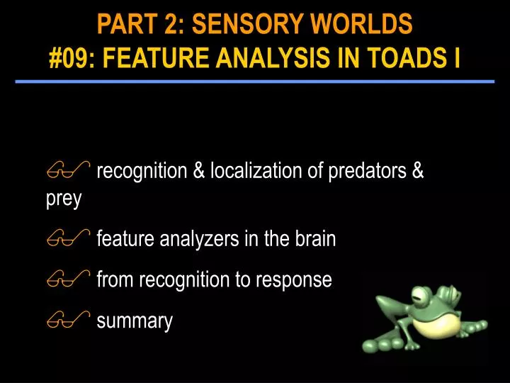 PPT - recognition & localization of predators & prey feature analyzers ...