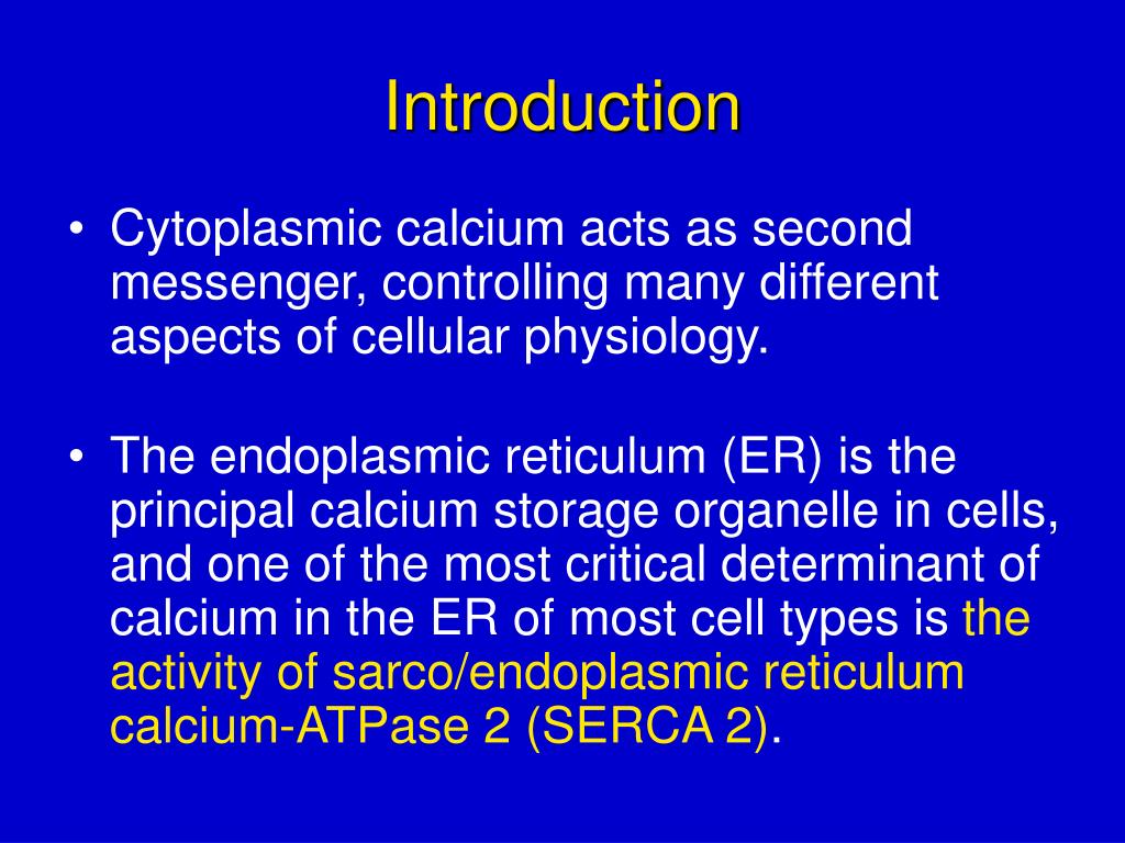 PPT - Sarco/Endoplasmic Reticulum Calcium-ATPase 2 Expression as a ...