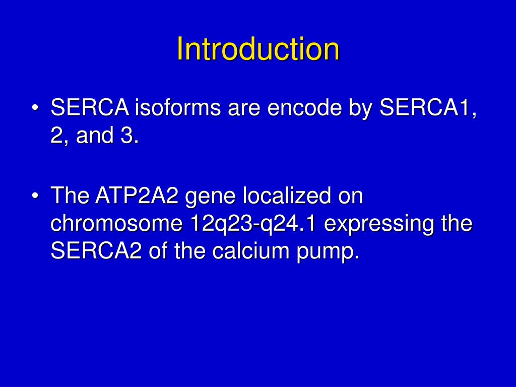 PPT - Sarco/Endoplasmic Reticulum Calcium-ATPase 2 Expression as a ...