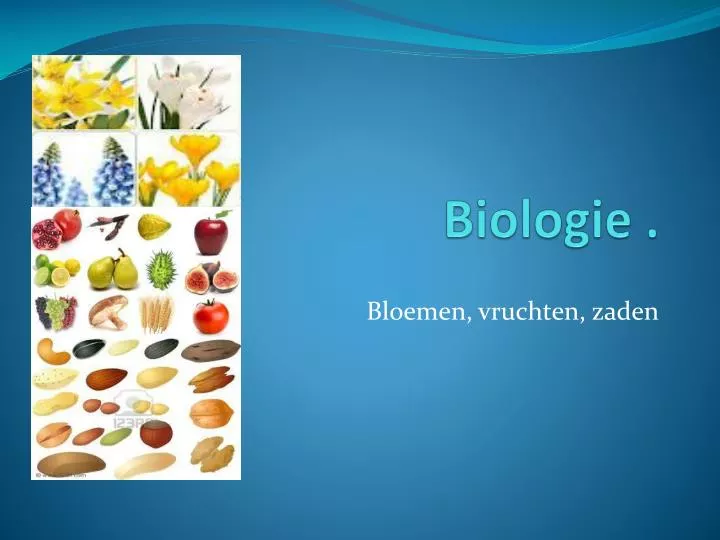 PPT - Biologie . PowerPoint Presentation, free download - ID:4074330