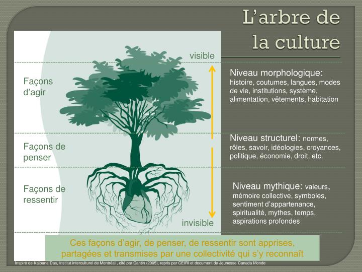 PPT - La communication interculturelle PowerPoint Presentation - ID:4074454
