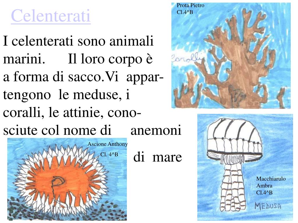 PPT - CONVITTO V. EMANUELEII “ ROMA” Scuola Media Classe 1D e 2D ...