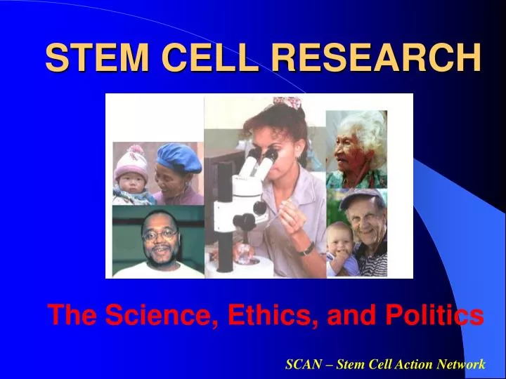 PPT - STEM CELL RESEARCH PowerPoint Presentation, free download - ID ...