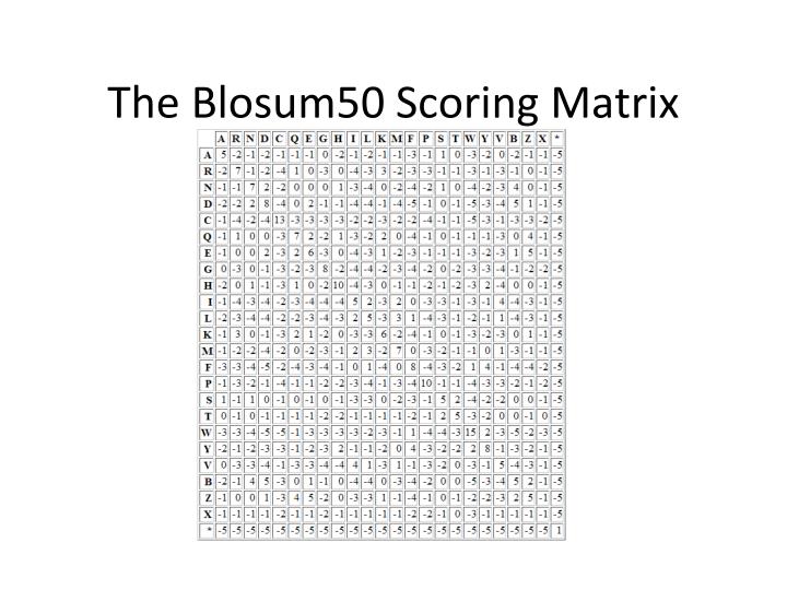 PPT - Sequence Alignment and Phylogenetic Analysis PowerPoint ...
