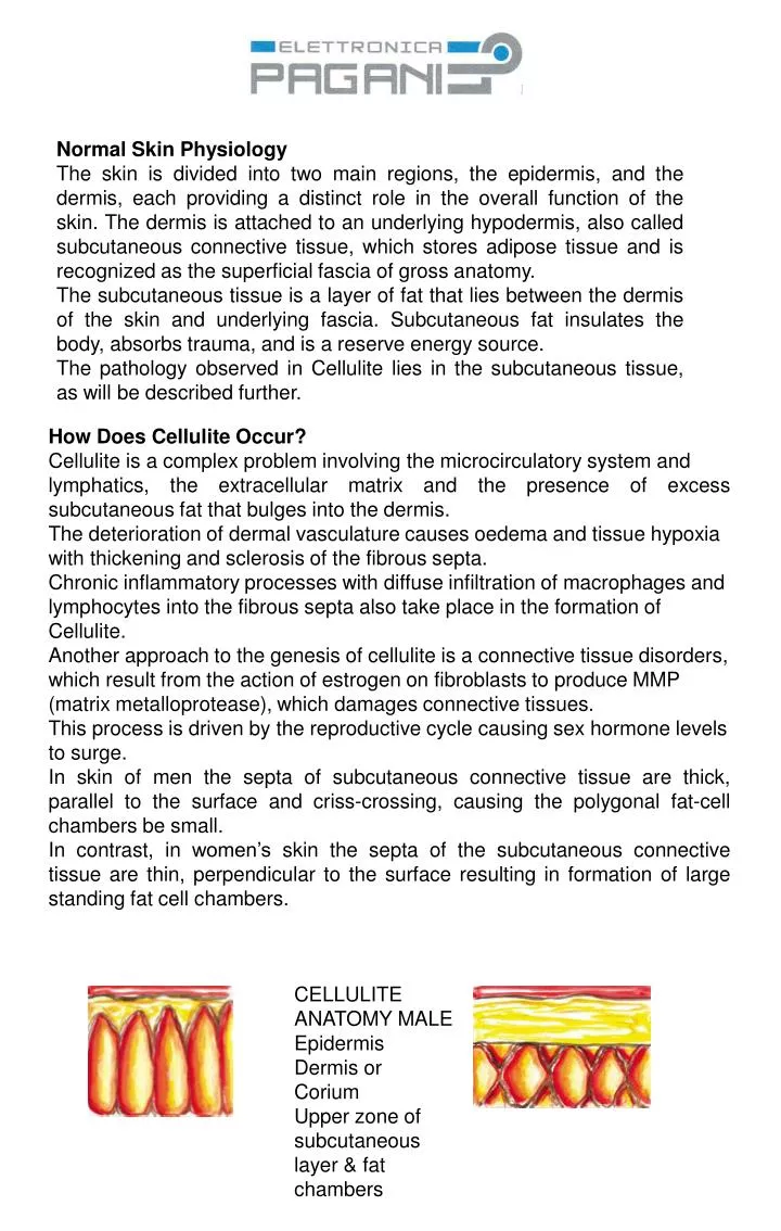 PPT - Normal Skin Physiology PowerPoint Presentation, free download ...