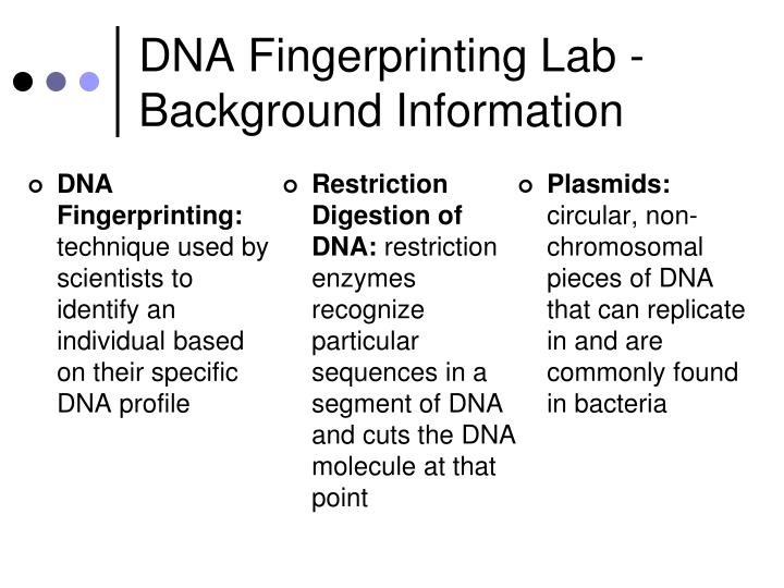 PPT - BIO-RAD Lambda DNA Kit, and BIO-RAD Forensic DNA Fingerprinting ...