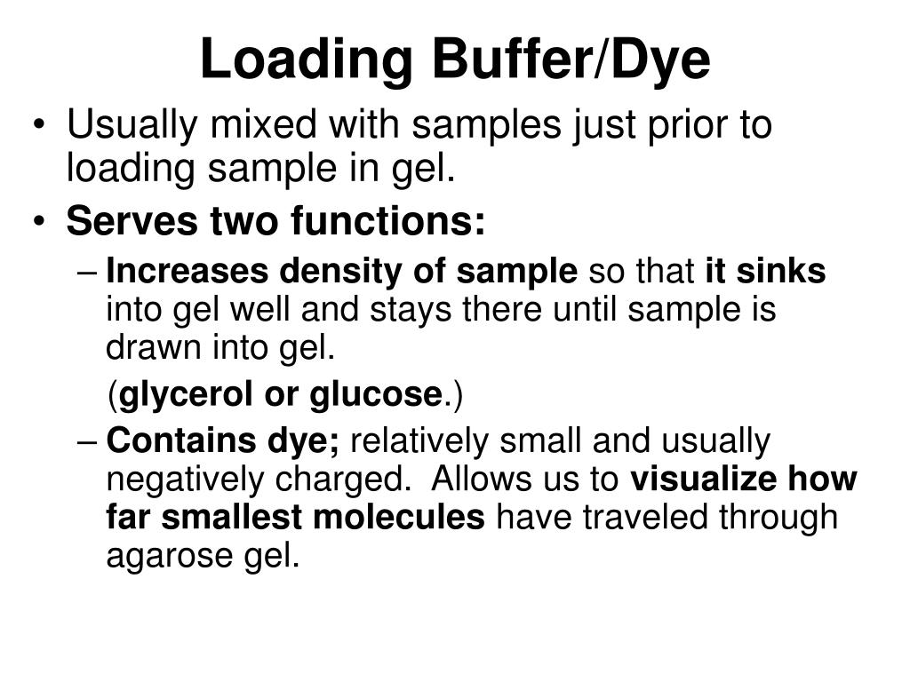 PPT - Agarose (Horizontal) Gel Electrophoresis PowerPoint Presentation ...