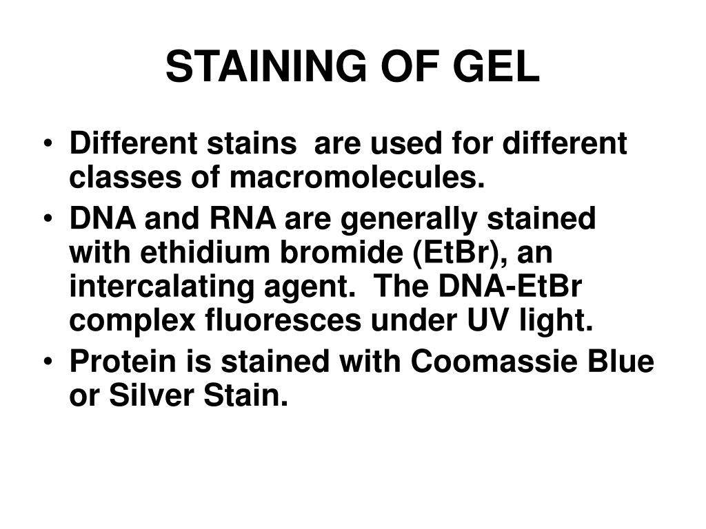 PPT - Agarose (Horizontal) Gel Electrophoresis PowerPoint Presentation ...