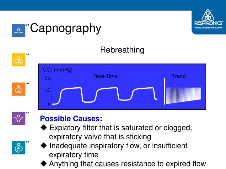 PPT - Capnography PowerPoint Presentation - ID:4082923
