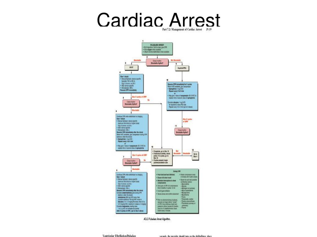 PPT - Cardio-Pulmonary Cerebral Resuscitation PowerPoint Presentation ...