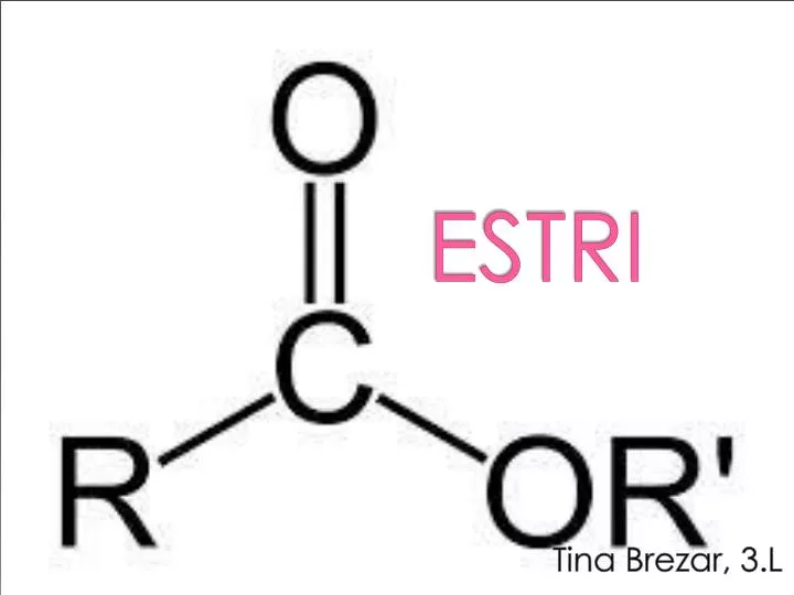 PPT - ESTRI PowerPoint Presentation, free download - ID:4083507