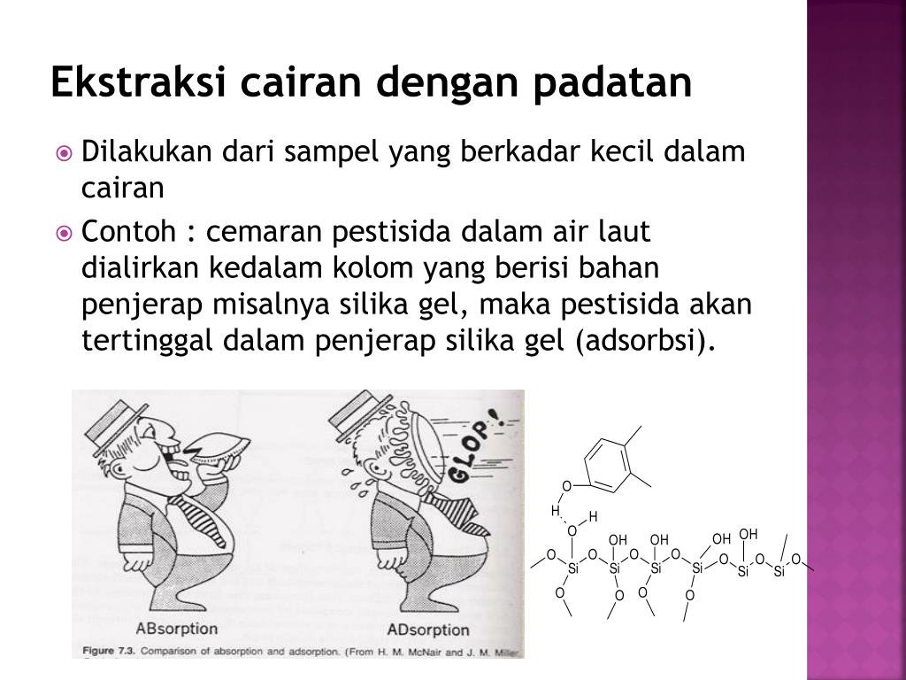 PPT - EKSTRAKSI SENYAWA OBAT ORGANIK PowerPoint Presentation, free ...