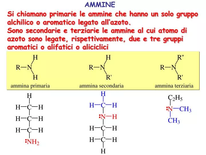 PPT - ammina primaria PowerPoint Presentation, free download - ID:4084344
